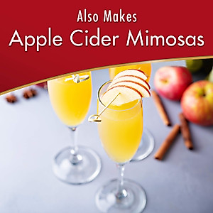 Alpine Spiced Cider Original Drink Mix, Apple Flavor, 120 Pouches