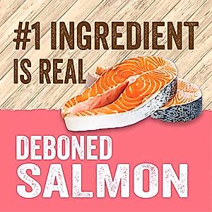 Evolve Classic Deboned Salmon, Rice and Sweet Potato Recipe Cat Food, 2.75lb