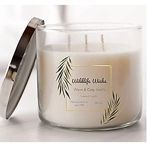 Warm and Cozy Candle | Vanilla, Cinnamon, and Cashmere, Winter Scented Soy Candles for Home | 14oz Clear Jar, 40+ Hour Burn Time, Made in the USA