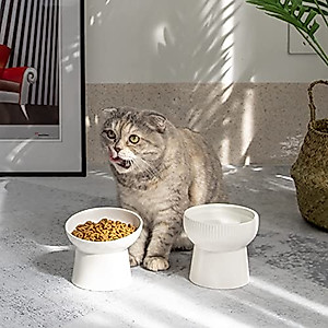 Qucey Ceramic Cat Food and Water Bowl Set, Raised Tilted Cat Feeder Dishes with Stand, Elevated Pet Food Bowl for Cats and Small Dogs, Anti Vomiting & Reduce Neck Burden