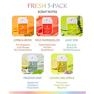 Touchland Power Mist Hydrating Hand Sanitizer FRESH 5-PACK | Mint, Citrus, Lemon Lime, Aloe, Watermelon | 500-Sprays each, 1FL OZ (Set of 5)