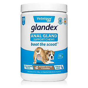 Glandex Anal Gland Support Chews 120 Ct and Dermabliss Allergy Chews 30 Ct Bundle, Peanut Butter + Hickory Salmon Flavors, Dog Vitamins and Supplements, Dog Allergy Chews, Dog Allergies Treatment