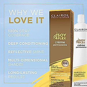 Clairol Professional Permanent Crème Hair Color 12g High Lift Gold Blonde