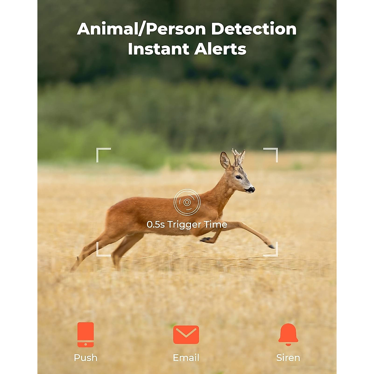 REOLINK KEEN Ranger PT Cellular Trail Camera, 3G/4G LTE, 360° Full View, 2K Live Video&Playback on Phone, No-Glow IR, Solar Powered Game Camera, 2K Night Vision, Smart Motion Activated, No WiFi Needed