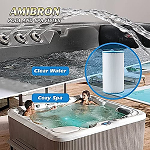 AmiBron 71825 Replaces Hot Springs Spa Filters, Compatible with Watkins 31489, Unicel C-6430, Pleatco PWK30, Filbur FC-3915, P/N0969601,73178, 73250, 30 sq.ft.Pleated Fabric Filter Media 5 Pack