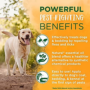 TropiClean Natural Flea and Tick Spray for Dogs & Bedding Maximum Strength Flea Spray for Home Family-Friendly & Safe Made in the USA 16oz