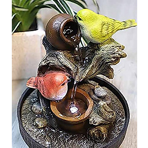 Ferrisland Tabletop Fountain Birds Waterfall Desktop Electric Water Fountain Decor w/LED - Indoor Outdoor Portable Tabletop Decorative Zen Meditation Waterfall Kit Includes Submersible Pump