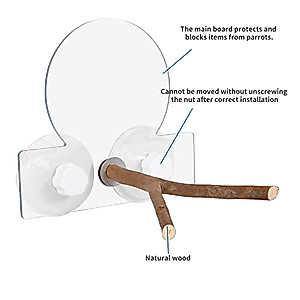 GJRGEG1Y Removable Window/Shower Perch Platform with Suction Cups for Bird Includes Stainless Steel Washer Robust and Stable Without Falling (Small)