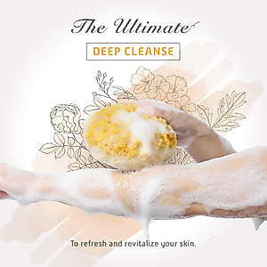 Spongentle Deep Cleansing Body Loofah Sponge, Natural Colors, for Bath and Shower, Multiple Textures for Gentle and Deep Exfoliation, Generous and Rich Lather, (Pack of 3)