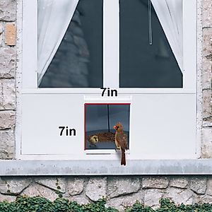 POOKULA Window Bird Feeder, 180° Clear View Bird Feeder, Durable and Elegant in-Window Bird Feeder for Watching Birds - Embrace The Delight of Bird Feeder.