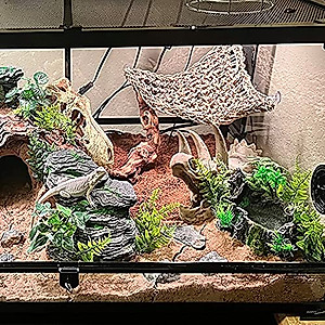 MUYG Bearded Dragon Resin Triceratops Skull Hide Decoration Reptiles Artificial Hideout Cave Landscape Tank Accessories Vines Leaves Hideaway Ornaments for Lizards Snake Gecko