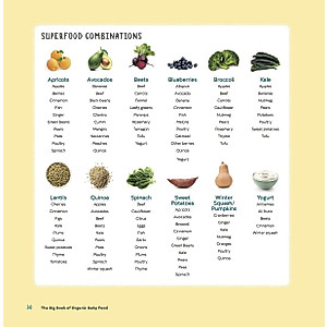 The Big Book of Organic Baby Food: Baby Purées, Finger Foods, and Toddler Meals For Every Stage
