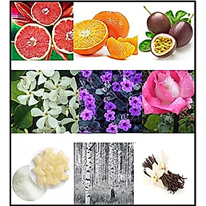 FILA Refreshing Body Spray for Women - Aquatic, Energizing Designer Body Spray Fragrance - Notes Of Mandarin And Passion Fruit - Intense, Long Lasting Scent, Streamlined White Bottle - 8.4 Oz