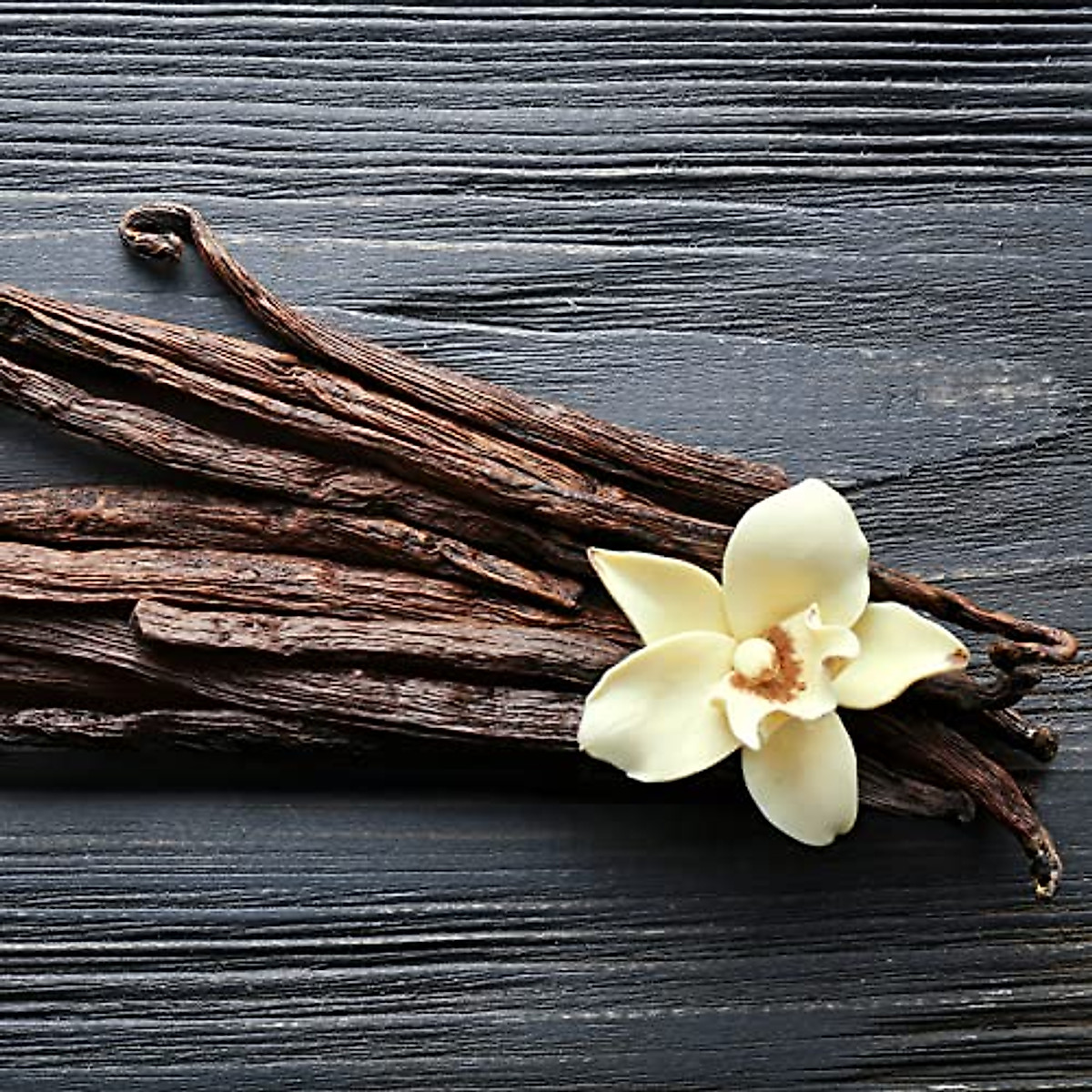 GUIDOLIN EQUISNACK Horse Natural Treats with Superfoods and Real Fruit Pieces, No Sugar Added, Handmade in Italy - 1,54 LB (Vanilla and Cereals)