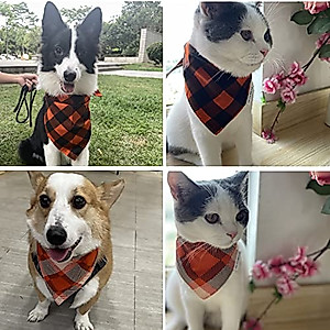 Dog Bandanas Fall 2 Pack,for Dog Birthday Party Double Layer Fabric pet Scarf Durable for Dog cat Birthday (Small, Orange)