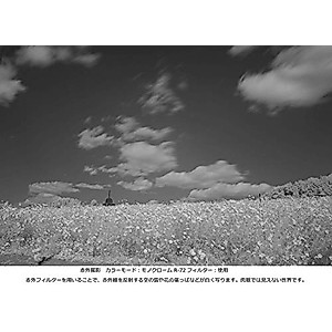 Kenko 55mm PRO1D R72 Digital-Multi-Coated Camera Lens Filters