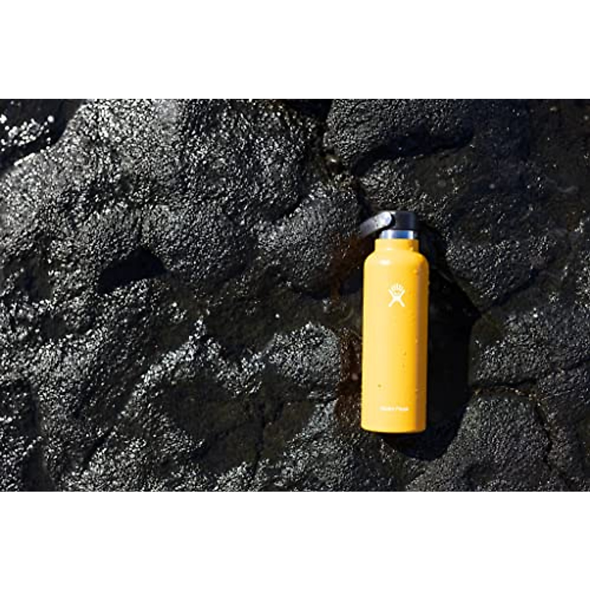Hydro Flask Standard Mouth Bottle with Flex Cap