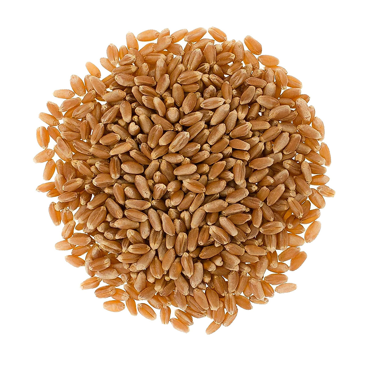 Hard Red Winter Wheat Berries | 5 LBS | Family Farmed in Washington State | Non-GMO Project Verified | 100% Non-Irradiated | Certified Kosher Parve | Field Traced | Burlap Bag