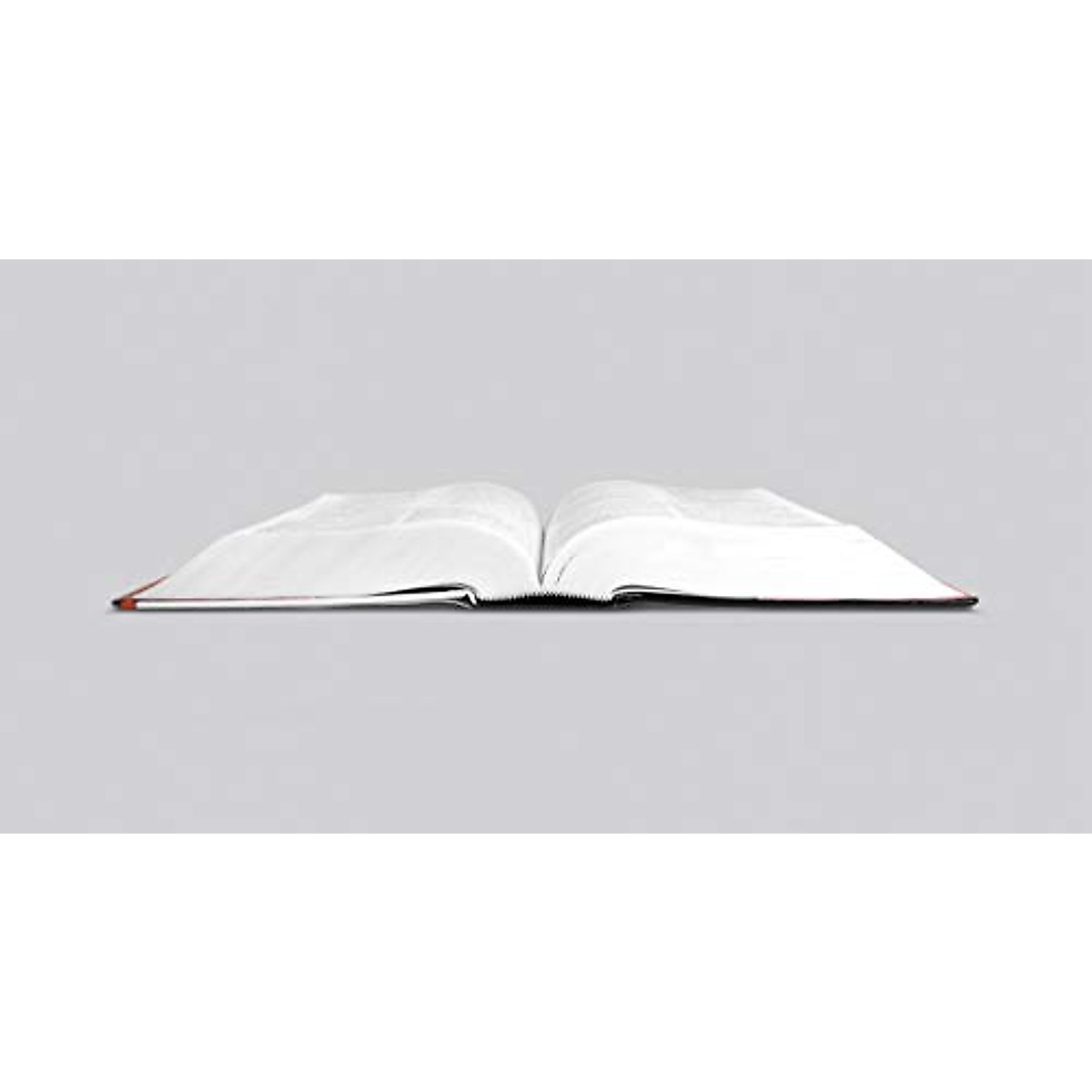 ESV Study Bible, Large Print