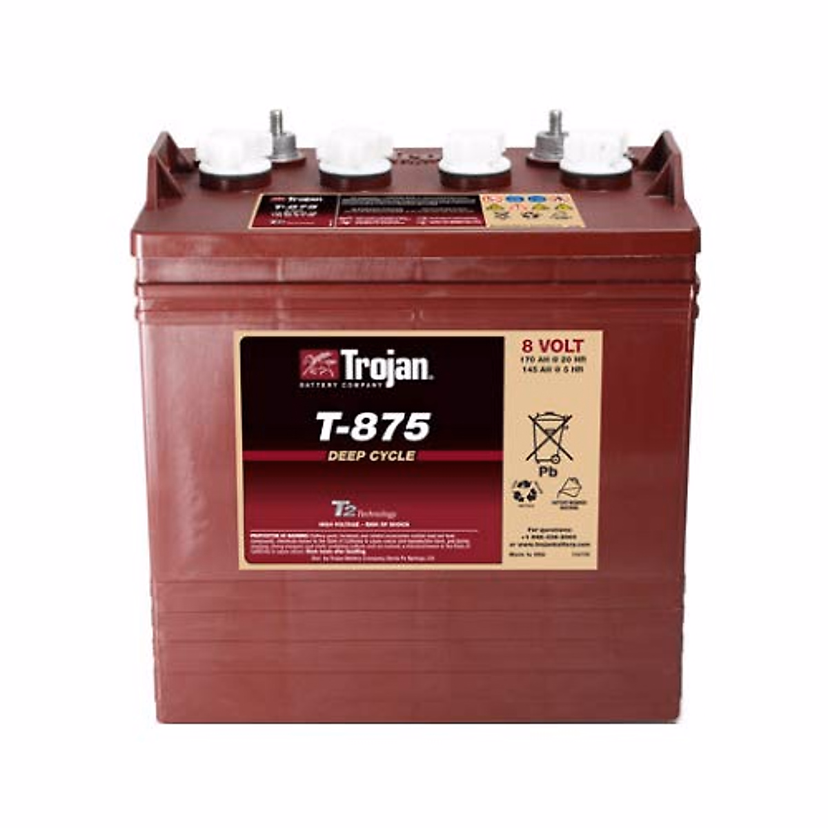 Trojan T875 8 Volt, 170 AH Deep Cycle Battery - 6 Pack