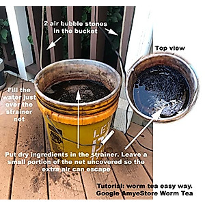 For 2024!Cucumber Seeds for Planting Vegetables and Fruits-Asian Suyo Long Cucumber Plant Seeds,Burpless Non GMO Garden Seeds Vegetable Seeds,Chinese Cucumber Seeds-11ct Veggie Seeds China Long Hybrid