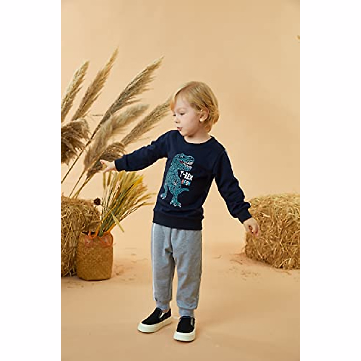 HIHA Dinosaur Outfits Boys 12-18 Months T-Rex Dinosaur Clothes Toddler Boy Sweatsuit Long Sleeve Navy Sweatshirts Grey Jogger Pants Set Little Boys Fall Winter Outfits(Gray, 12-18 Months)