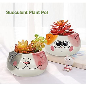 Kinforse Scented Candles Gifts for Women, Birthday Gifts for her, Presents for Women, Cat Gifts for Women, 6 Pack Novelty Gifts for Women Birthday Unique…