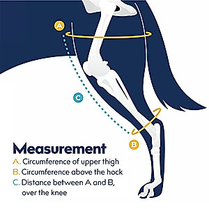 Balto Jump CCL Brace – Dog Knee Brace – Brace with Aluminum Splints – Pre/Post Surgery Support Helps Prevent New Injuries (Right Leg, X-Large)