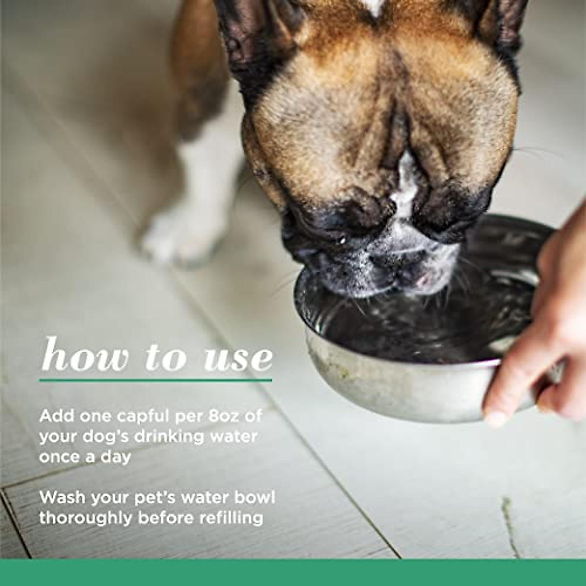 Burt's Bees for Pets Training Dog Dental Water Additive with Aloe Vera Extract, 16 fl Oz | Water Additive for Dogs in Fresh Mint Flavor | 97% Natural Dog Water Additive