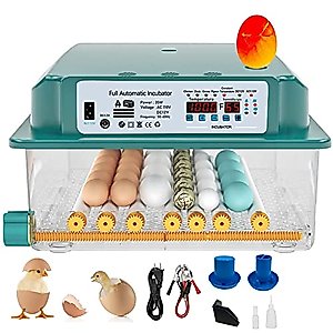 Ganggend 36 Eggs Incubators for Hatching Egg with Automatic Turner, Temperature Control Chickens Quail Egg Incubator, 12V/110V Humidity Monitoring Incubators for Farm Poultry Duck