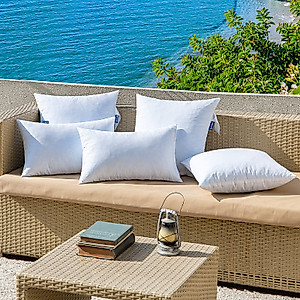 MIULEE 12 x 20 Pillow Inserts - Pack of 4 Water Resistant Shredded Memory Foam Outdoor Pillows - Decorative Premium Pillow Forms Stuffer for Couch Patio Furniture Living Room