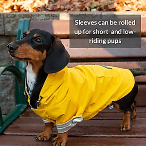 DJANGO Highland Dog Jacket and Raincoat - Water-Repellent, Windproof, and Harness-Friendly Hooded Winter Dog Coat & Raincoat with Adjustable Drawstrings & Gunmetal Hardware (Medium, Dandelion Yellow)