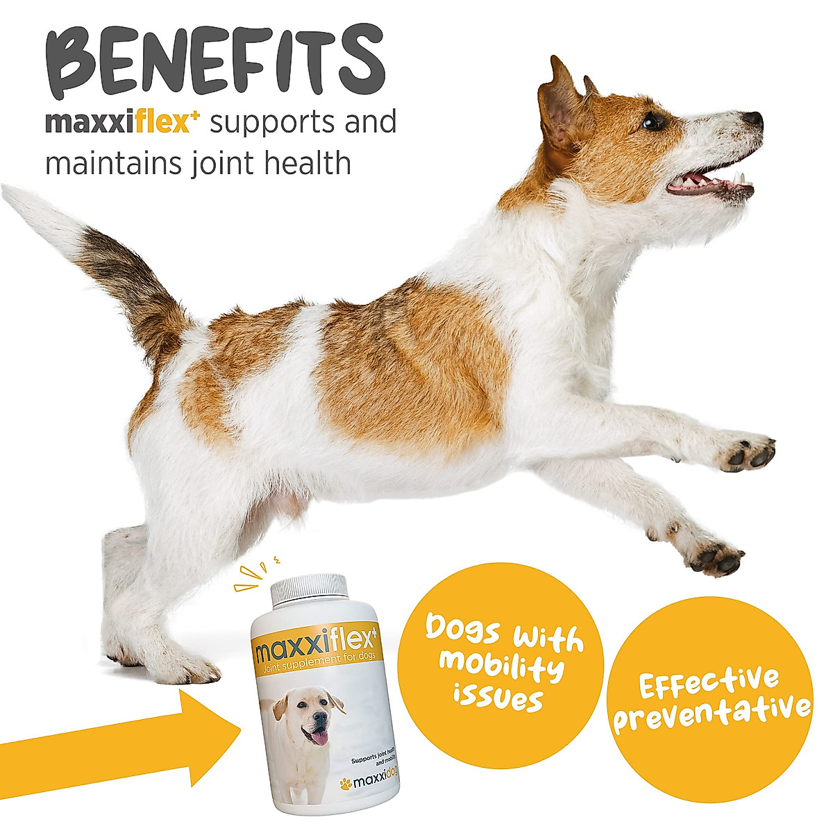 maxxipaws maxxiflex+ Hip & Joint Supplement for Adult Dogs - 120 Tablets