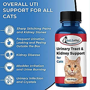 BestLife4Pets Cat UTI Urinary Tract Infection & Kidney Support Treatment - All Natural Medicine to Stop Frequent Urination - Cats Renal Health and Bladder Control - Easy to Use Natural Pills