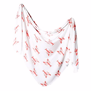 Copper Pearl Large Premium Knit Baby Swaddle Receiving Blanket Skipper