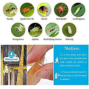 60 Pack Stable Fly Strips Indoor Outdoor Sticky Hanging Paper Tape, Ranch Indoor Fly Traps for Home, Fly Ribbon Hanging, Fly Traps Outdoor