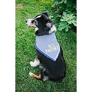 Everything Tailed Blue Big Brother Dog Bandana for Pregnancy Announcement, Pet Photo Prop, Handkerchief and/or Scarf for Dog, Fits Medium to Large Dogs