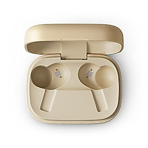 Bang & Olufsen Beoplay EX - Wireless Bluetooth Earphones with Microphone and Active Noise Cancelling, waterproof, 20 hours of Playtime