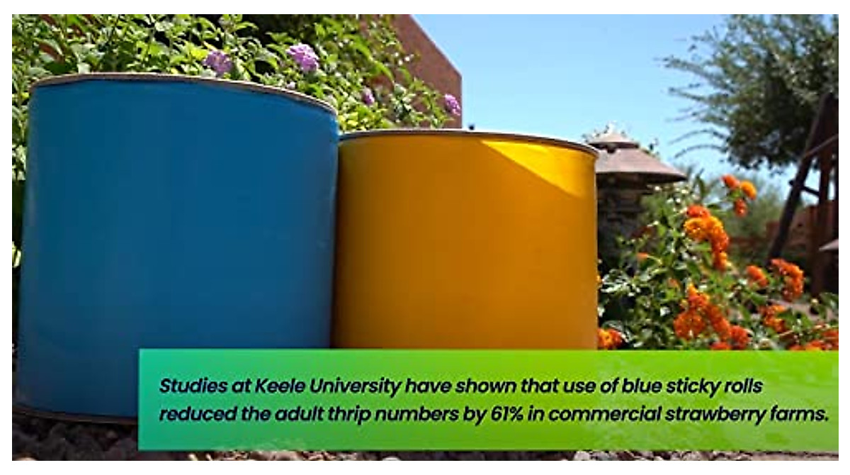 Giant Yellow Sticky Traps - Effective Pest Control for Indoor & Outdoor ...