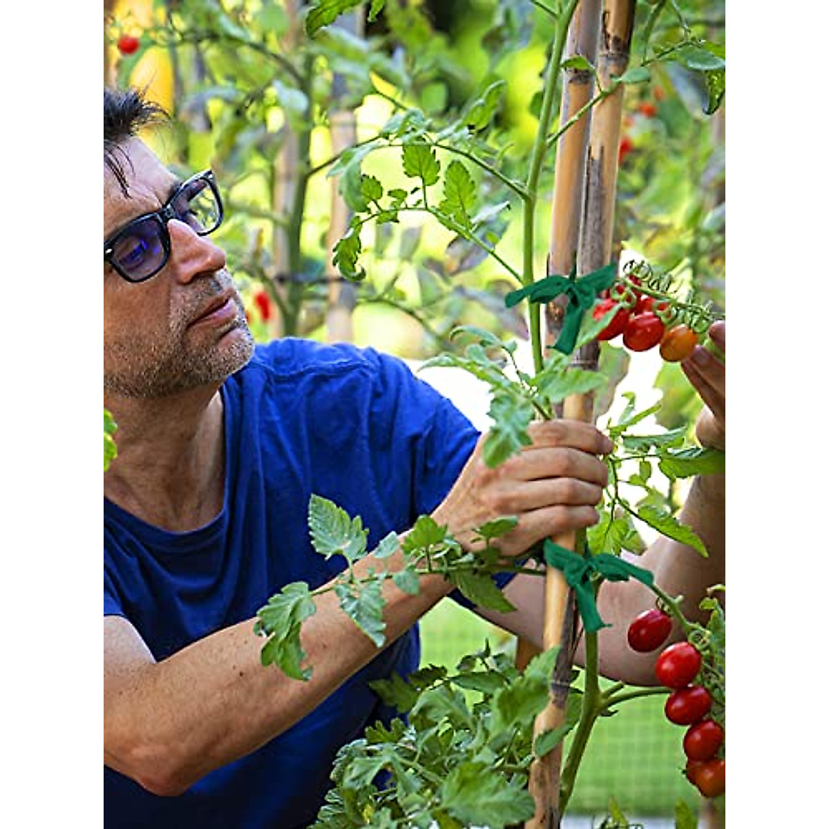 197 Ft Plant Ties for Climbing Plants, Stretching Garden Plant Tape, Soft Reusable Garden Twist Wire Strings for Tomato Cucumber Vine Plants Sapling Supports Training Staking Outdoor Indoor