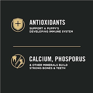 Purina Pro Plan High Protein Puppy Food DHA Lamb & Rice Formula - 6 lb. Bag