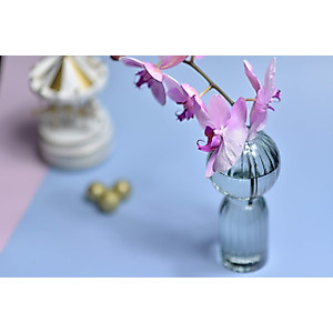 SVY Glass Vases Clear Crystal Flower with Modern Unique Design & Home Decoration, Ideal for Parties, Events, Gardens, Office, Weddings, Table (Gray)