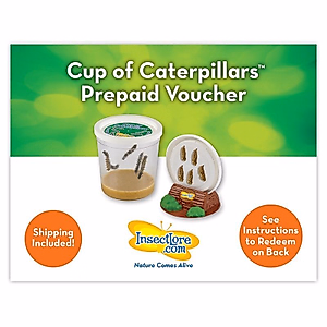 Insect Lore - Butterfly Growing Kit - Clear Front Facing Viewing Panel - Pre-Paid Voucher to Redeem Caterpillars Later – Life Science & STEM Education – Butterfly Science Kit