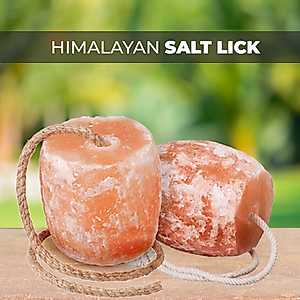 Generic Himalayan Salt Lick, 6.0 pounds, 3-Pack, for Horses, Deer, and Other Animals