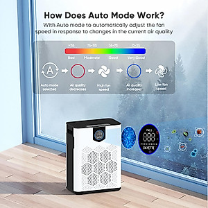 DAYETTE Air Purifiers for Home Large Room, H14 Hepa filter with Washable PreFilters, Air Purifiers for Room Up to 3000 Ft², Air Quality Monitor, 22dB Sleep Mode
