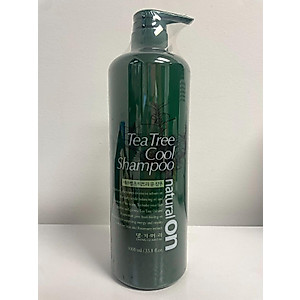 Daeng Gi Meo Ri-Tea Tree Cool Shampoo, Tea Tree Oil and Aloe Vera Extracts give a Refreshing Feeling to Oily Hair, Moisture to Dry Hair, Soft and Mild Cleansing Effect, 1000ml