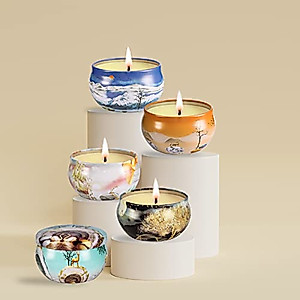 JHENG Scented Candles Gift Set Soy Wax Tin Candles, Natural Fragrance Candles for Stress Relief and Aromatherapy Candles - 16 X 2.5 Ounce
