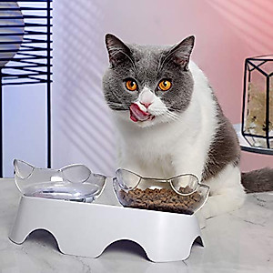 MILIFUN Cat Food Bowls Elevated Tilted, Anti Vomiting Orthopedic Kitty Bowls for Puppy and Bunny, Indoor Cats.