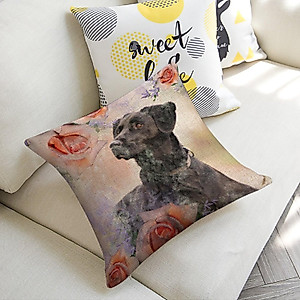 Dog Black Lab Labrador Throw Pillow Covers 18X18 Pillow Cushion Cases, Modern Decorative Square Pillowcases for Sofa Couch Bedroom Living Room Car