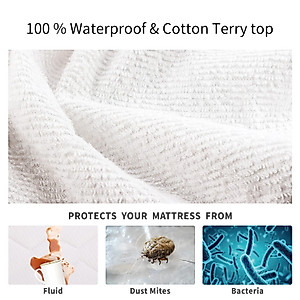 Letech+ Waterproof Mattress Protector Fitted Style, Twin XL Size 100% Cotton Terry Smooth and Breathable Top, Mattress Cover - Noiseless Vinyl-Free Deep Pocket Machine Washable Protector